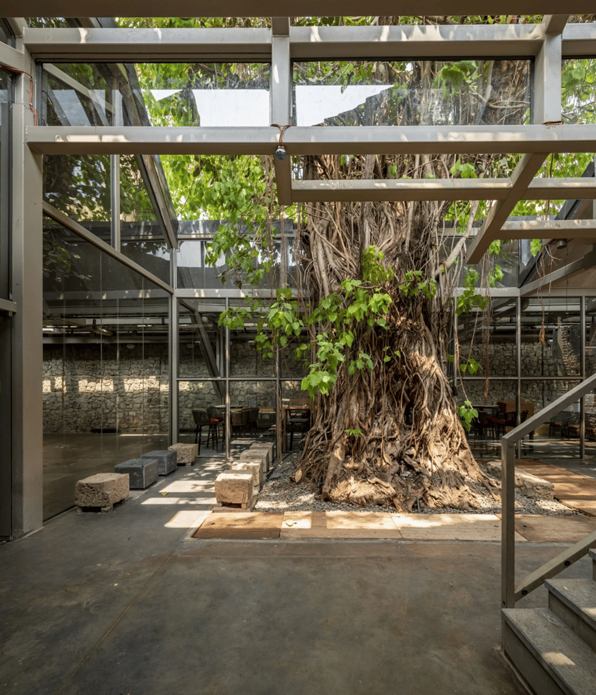 Nature's Influence: How Biophilic Design Principles Enhance Well-being